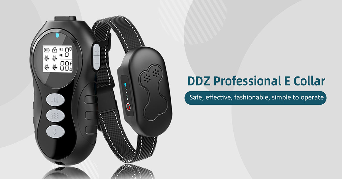 Contact – DDZ Store